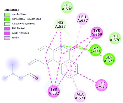 Binding Interactions Of Native Ligand Download Scientific Diagram