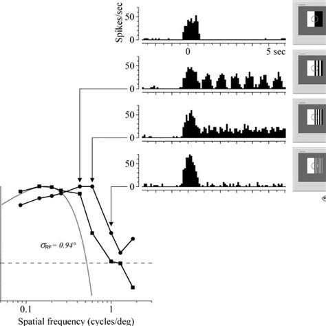 Simultaneous Intracellular And Extracellular Recording From A Ca1 Download Scientific Diagram
