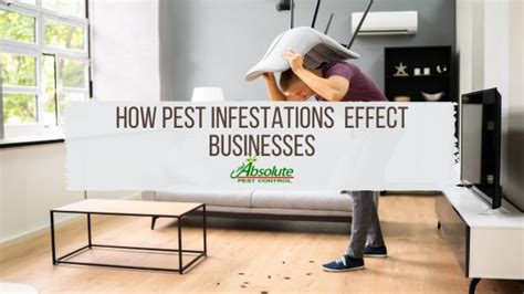 Effects Of Pest Infestations In Businesses And Restaurants