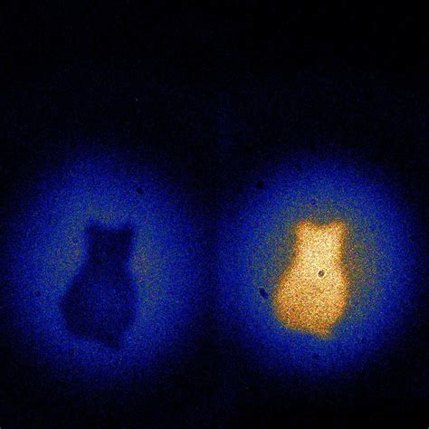 Ghost Imaging Technique Discovered In Quantum Physics Ghost Theory