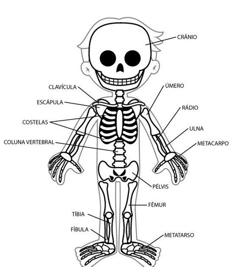 Doki Sistema Oseo Para Colorear Imagui Auxiliar De Enfermeria Porn Sex Picture