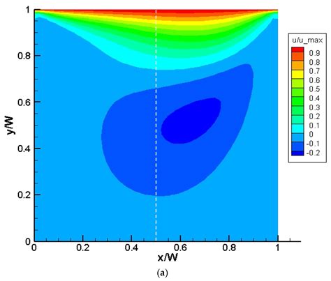 Numerical Modeling Using Immersed Boundary Lattice Boltzmann Method And