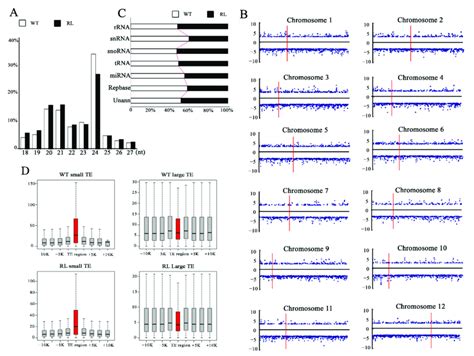 Genome Wide Small Rna Expression Alteration Between Rl And Its Donor