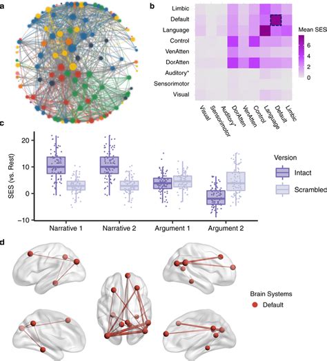 the brain network specific to narrative thought a the network layout of