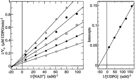 Initial Velocity Pattern With Nad As The Variable Substrate A Replot