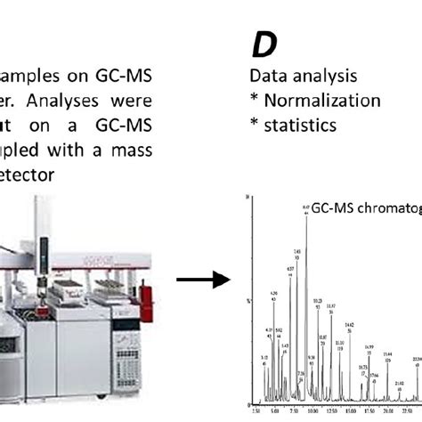 Workflow Of Gc Ms Running And Data Analysis Download Scientific Diagram