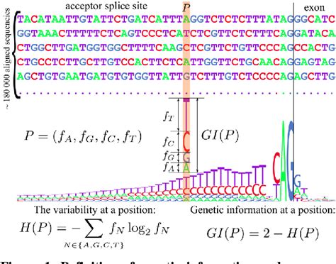 figure 1 from positional information storage in sequence patterns