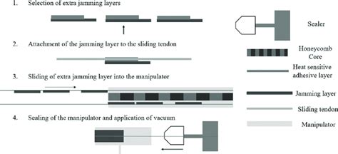 Conceptual Illustration Of Proposed Procedures Of The Variable