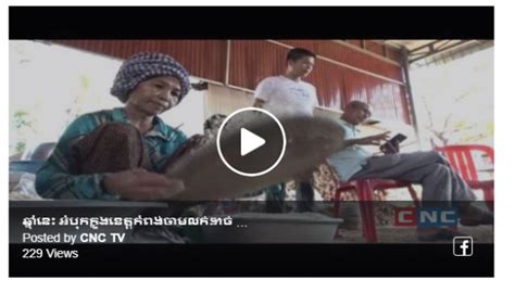 ឆ្នាំនេះ អំបុកក្នុងខេត្តកំពង់ចាមលក់ដាច់ និងមានតម្លៃល្អជាងឆ្នាំកន្លងទៅ Cnc News