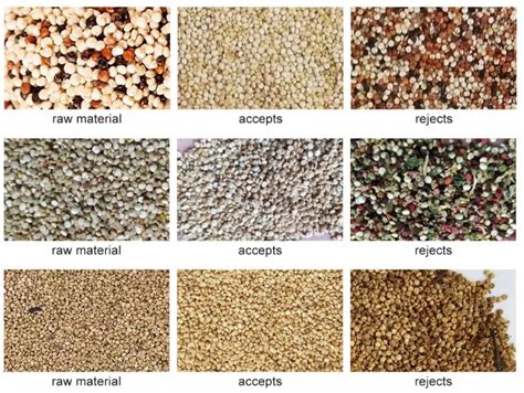 7 Chutes Intelligent Quinoa Ccd Color Sorting Machine Manufacturer