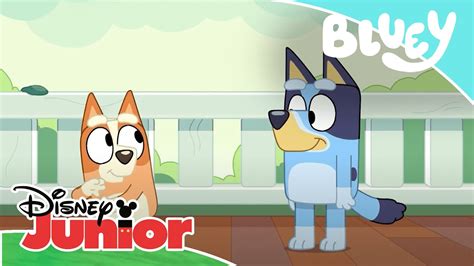 Bluey: Trucos de magia | Disney Junior Oficial - YouTube