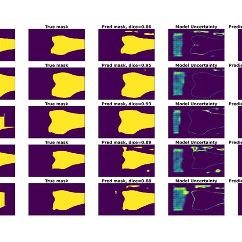 Uncertainty Plot For 2D Data Download Scientific Diagram