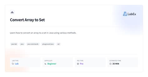 Convert Array To Set In Java Labex