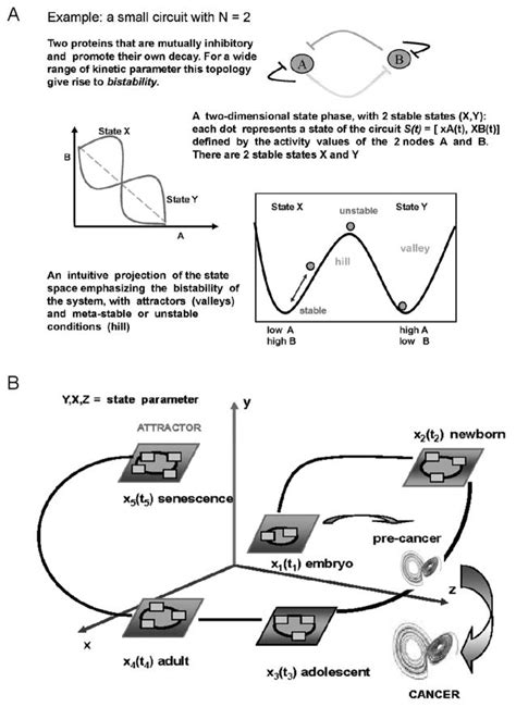 Fractal Analysis In A Systems Biology Approach To Cancer Abstract Europe Pmc