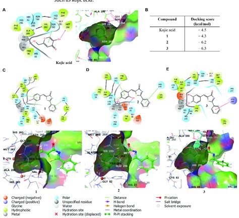 Docking Scores And In Silico Docking Simulation Results Of Kojic Acid