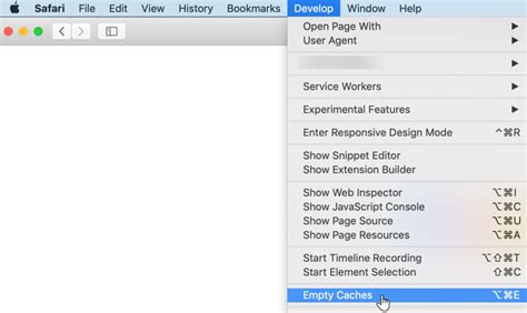 Clear Cookies And Cache On Safari Hypetide