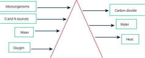 Dynamics Of Composting Generation Fountain 13 P 19 Download Scientific Diagram