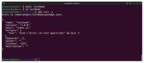 Tutorial On How To Install And Run Node Js And Npm On Linux Ubuntu And