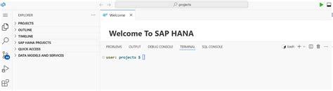 Custom Exception Class — Sap Abap Oop By Priyaranjan Gupta Sep