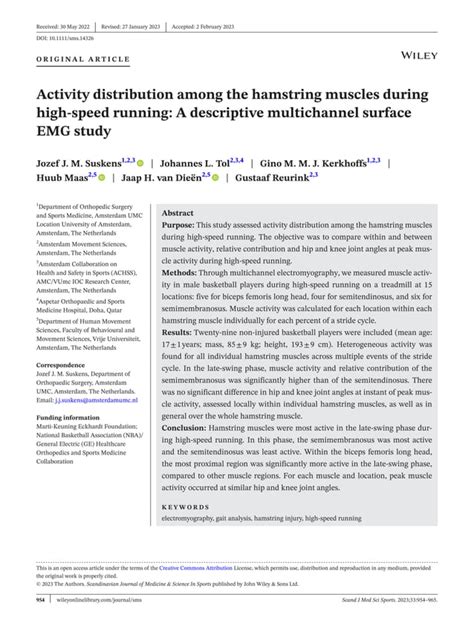 Activitydistributionamongthehamstringmusclespdf