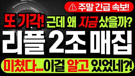 리플 Xrp 전망 🚀 엑스알피 코인 또 기각 근데 왜 2조 매집했나 미쳤다 이걸 알고 있었다니 리플 엑스알피