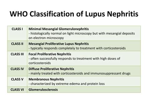 What Is Lupus Nephritis