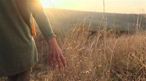 238 Women Walking Through Tall Grass Stock Videos Footage And 4k Video