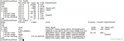 linux 麒麟v10 更改磁盘格式ext4 ＞xfs 更改硬盘描述ext4 csdn博客