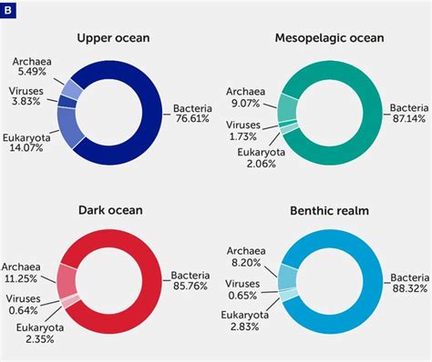 Hanaa Fayed On Linkedin New Ocean Dna Catalogue Could Help To Track The Impact Of Global Warming…