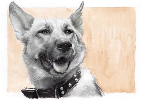 Artstation German Shepherd Dog Realistic Portrait Drawing