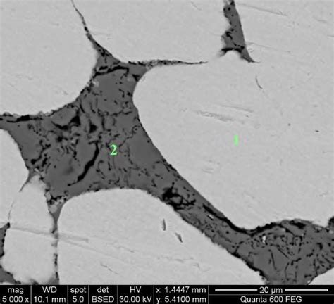 X Ray Microanalysis Points Download Scientific Diagram