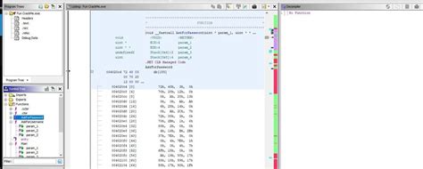 Why Does Decompiler Shows No Function Even I Selected Any Function I