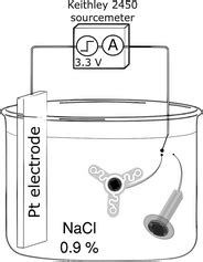 Leakage Current Measurement Setup Download Scientific Diagram