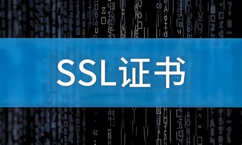 2025最新免费ssl证书申请平台安全测评与优选推荐 搬主题
