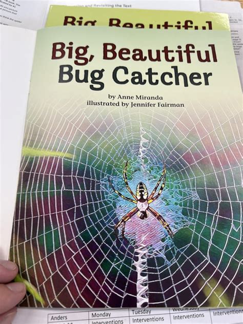 Unexpected Bug Catcher Find Rbugcatchers