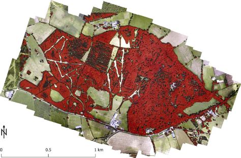 Quantifying And Monitoring Tree Canopy Cover 2Excel Geo