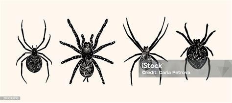 리노컷 스타일의 다양한 거미 세트입니다 유행 벡터 일러스트 레이 션입니다 0명에 대한 스톡 벡터 아트 및 기타 이미지 0명 10월 가을 Istock