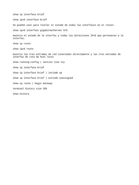 show ip interface brief pdf