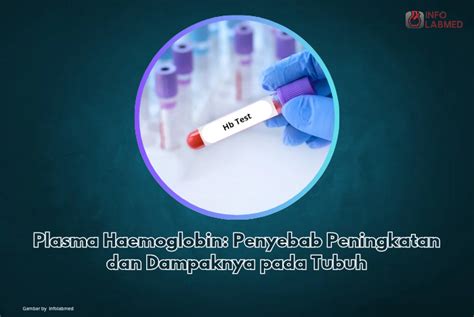 Plasma Haemoglobin Penyebab Peningkatan Dan Dampaknya Pada Tubuh