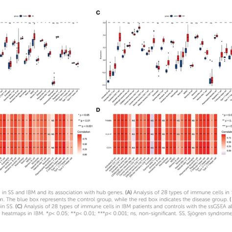 Identification And Analysis Of Shared Gene Signatures In Ss And Ibm Via
