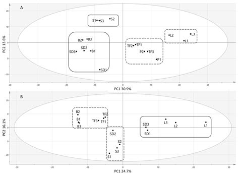Plot Of Principal Component Analysis Scores And The Hierarchical