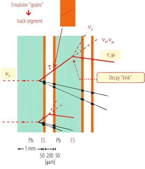 16 The Identification Of Secondary Vertices Using The Emulsion Cloud Download Scientific