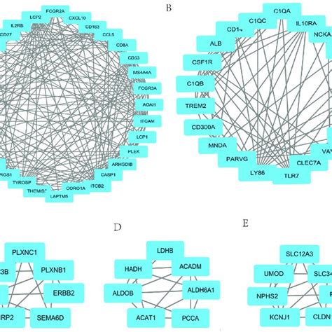 the ppi subnetwork with an mcode score 5 0 ppi subnetworks were