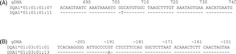 a alignment of the partial intron 1 nucleotide sequence of