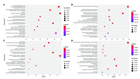 Enrichment Analysis Of Genes With Temporal Expression Profiles A B