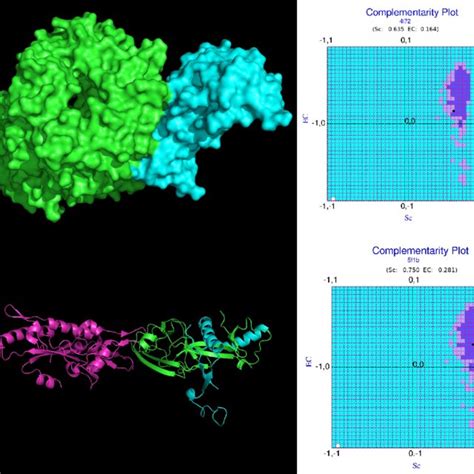 Analogous Complexes Of Sars Cov 2 Rbd Spike Ace2 In Mers Ebola Download Scientific Diagram