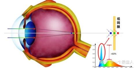 Tft Lcd基础光学特性 知乎