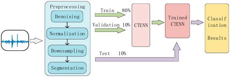 heart sound classification network based on convolution and transformer