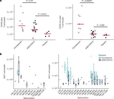 Tcrβ Repertoire Analysis A Spike And Non Spike T Cell Breadth By Tcrβ Download Scientific