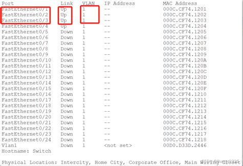 【路由交换技术】cisco Packet Tracer路由器子接口路由器子接口封装vlan Csdn博客